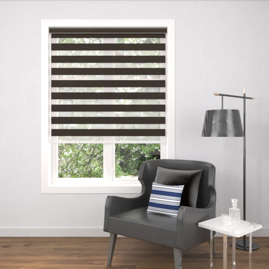 Elevate Your Home Aesthetics with Zebra Shades